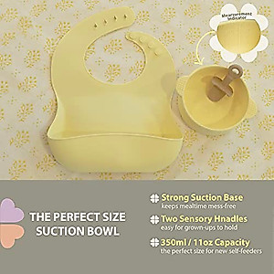 Clover Clover 9 Piece Baby Led Weaning Supplies- Toddler Feeding Set- Silicone Divided Suction Plate with Lid, Suction Bowl, Sippy Cup, 2 Bibs, 2 Soft Spoons and Fork 6 Months+ (Ether)