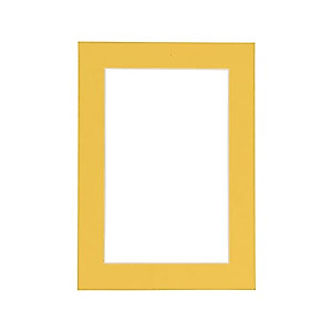 Pack of TEN 6x9 Mats Bevel Cut for 4x5 Photos - Acid Free Chamois Yellow Precut Matboards For Pictures, Photos, Framing - 4-ply Thickness