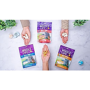 Whole Life Pet Just One Salmon - Cat Treat Or Topper - Human Grade, Freeze Dried, One Ingredient - Protein Rich, Grain Free, Made in The USA