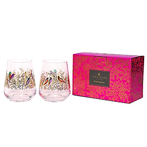 Spode Sara Miller London Chelsea Tumblers | Set of 2 | 14 Oz Stemless Glasses for Ros, Red, or White Wine | Colorful Birds Design | Handwash Only