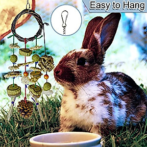 Rabbit Chew Toys for Teeth, Handmade Rabbit Toys for Bunnies, Natural Guinea Pig Chew Toys with Balls, Timothy Hay, Apple Wood for Chinchilla Gerbil