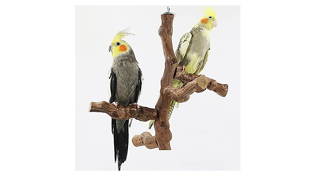 Allazone Natural Bird Perch with Chewing Toys for Parrots & Small Birds