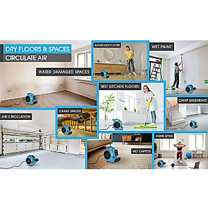 PURAERO Mini Air Mover | Carpet Dryer and Blower Fan | High-Velocity Floor Fan for Crawlspaces, Attics, Basements, Bathrooms | 1/5 HP 800 CFM | Water Damage Restoration, Grow Rooms | PA-200-AM | Blue