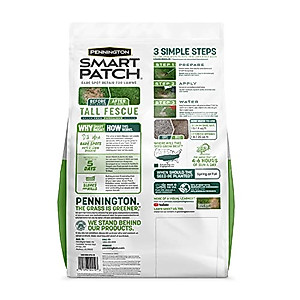 Pennington Smart Patch Tall Fescue Mix 10 lb