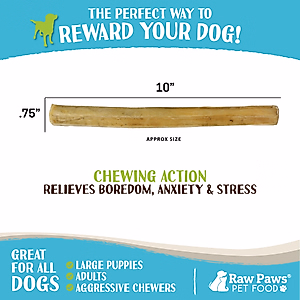 Raw Paws 10-inch Compressed Rawhide Sticks for Dogs, 20-ct - Pressed Rawhide Chews for Large Dogs & Medium Dogs - Safe Raw Hide Rolls - Natural Rawhide Dog Chew Long Lasting for Aggressive Chewers