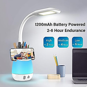 Donewin Rechargeable LED Desk Lamp with Color Changing Light, Pen and Phone Holder - Perfect Study and Reading Lamp for Kids, Teens, and Students - Great Gift for College Dorm Rooms