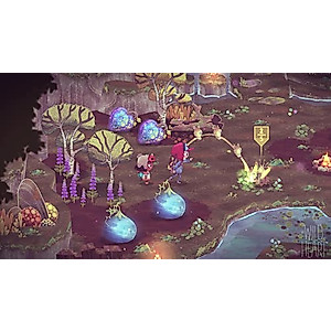 The Wild at Heart (Nintendo Switch)