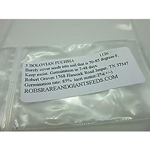 1126-Bolivian Fuchsia (Fuchsia boliviana) Seeds by Robsrareandgiantseeds UPC0764425787310 Non-GMO,Organic, Rare Species, Bonsai,1126 Package of 5 Seeds