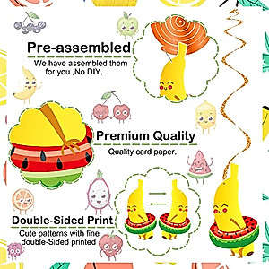 Fruit Haning Swirls Fruit Party Decorations Fruit Decorations for Fruit Themed Party Supplies Summer Party Decorations Hawaii Party Supplies