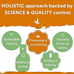 Yuve Prebiotic Fiber Gummies - Delicious - 3g Soluble Fiber Supplement - Supports Digestive Health & Regularity - Vegan & Gluten-Free Fiber Gummies for Adults & Kids - Non-GMO & Low Sugar - 60 Count