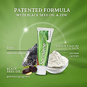 SprinJene Fluoride Toothpaste with Patented Black Seed Oil and Zinc - Certified Vegan, Cruelty-Free, Gluten-Free, Kosher, Halal, Natural Teeth Whitening Toothpaste 2 Pack (Fresh Boost)