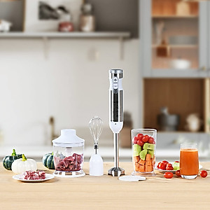 Vinchef 5 in 1 Immersion Hand Blender, 300 Watt, Multi-Speed Stainless Steel Handheld Stick Blender with 700ml Beaker, Whisk, Chopper/Grinder Bowl and Wall Rack, BPA-Free