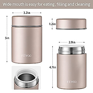 FEWOO Soup Thermos,Food Container for Hot Cold Food, Vacuum Insulated Stainless Steel Lunch Box for Kids Adult,Leak Proof Food Jar for School Office Picnic Travel Outdoors (Champaign Golden 13.5 oz)