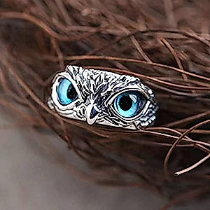 COLORFUL BLING 2pcs Gothic Demon Eye Owl Ring Set Adjustable Retro Open Antique Silver Crystal Band Rings for Women Men Animal Lucky Retro Jewelry