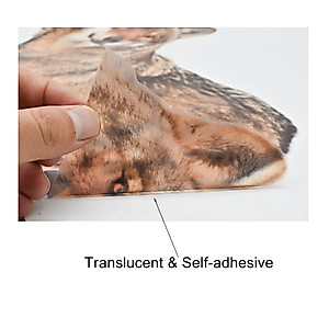 Pinenjoy Lifelike Wolf Wall Decal Wild Animal Wall Sticker 27.6x22inch Removable Self-Adhesive Vinyl Wall Art Decors for Living Room Children Bedroom Nursery Classroom Playroom