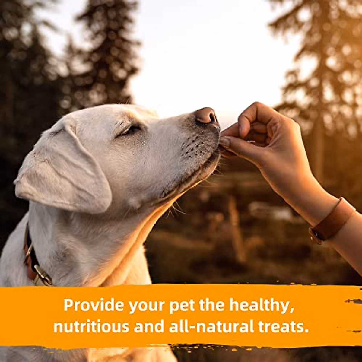 Jungle Calling Dog Treats, Chicken Jerky Wrapped Rawhide Chew Sticks, Long Lasting Chewing Food with Glucosamine and Chondroitin for Hip and Joint Health