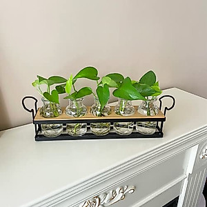 THYGIFTREE Plant Propagation Stations with Metal Stand, Tabletop Plant Terrarium for Propagating Hydroponic, Retro Glass Planter Flower Vase Home Kitchen Office Decor, Plant Lover Gifts, 5 Jars