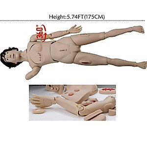 PreAsion Training Manikin Model Trauma Model Anatomical Human Model Demonstration Manikin Patient Care for Nursing Female-Male Wound Training Mannequin Patient Care Education Teaching 63’’Life-Size