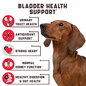 180 Cranberry Chews - Dog Cranberry Supplement - Natural Aid for Urinary Tract, Bladder, Kidney Health - Immune Support for Dogs of All Ages and Breeds - American Quality - Duck Flavor