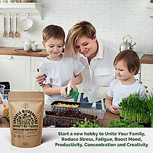 Arugula Sprouting & Microgreens Seeds - Non-GMO, Heirloom Sprout Seeds Kit in Bulk 1lb Resealable Bag for Planting & Growing Microgreens in Soil, Coconut Coir, Garden, Aerogarden & Hydroponic System.