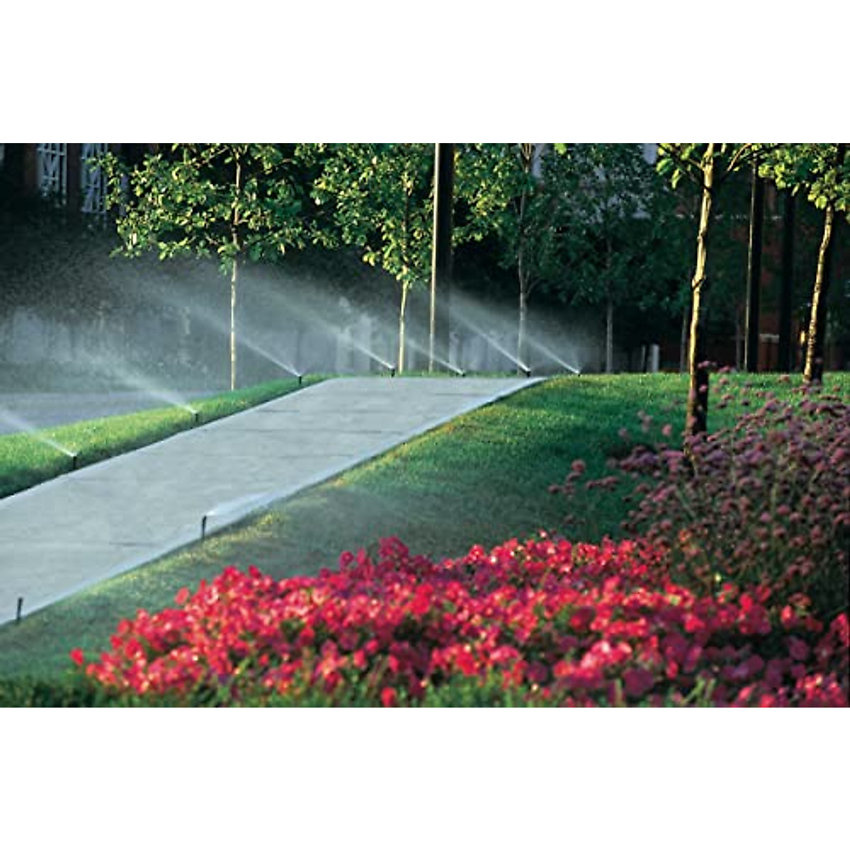Rain Bird 1804NPPRS Pressure Regulating (PRS) Professional Non-Potable Water Pop-Up Sprinkler, Adjustable 0° to 360° Pattern, 8' - 15' Spray Distance, 4" Pop-up Height, Purple Cap