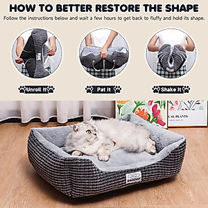 Baodan Dog Bed for Small Dogs, Small Cat Beds for Indoor Cats, Extra Soft Washable Dog Beds, Nonskid Bottom Calming Puppy Beds for Puppy and Kitten, Grey, 20 inches