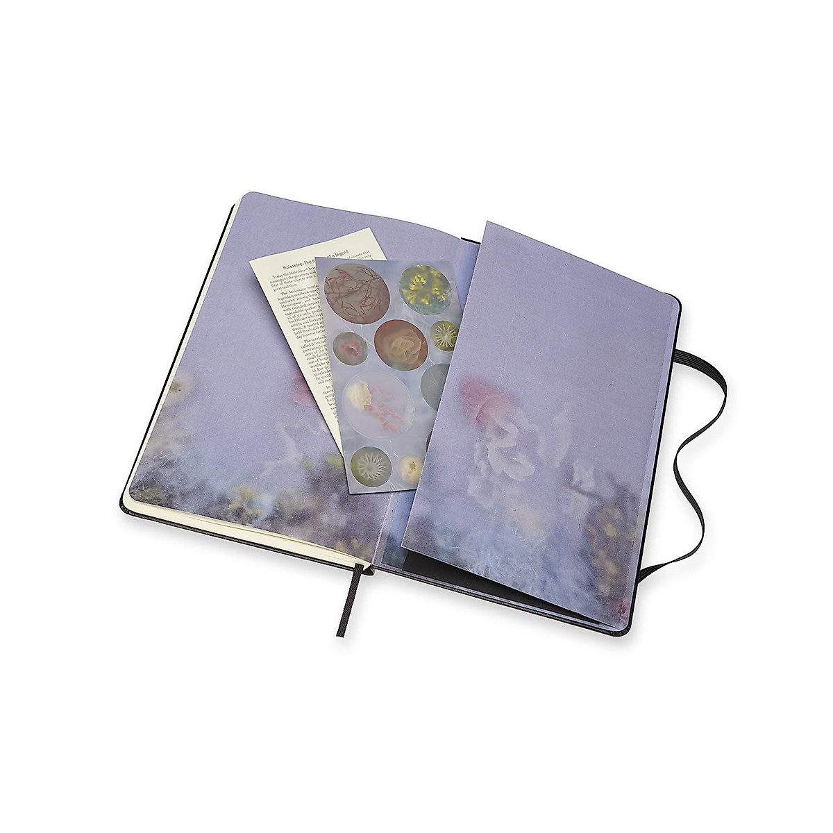 Moleskine Moleskin Studio SONIA ALINS Notebook, Hardcover, Large, Solid