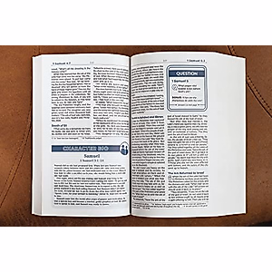 NIV, Teen Study Bible (For Life Issues You Face Every Day), Paperback, Comfort Print