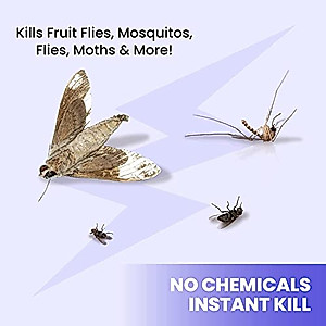 LiBa Electric Bug Zapper, Indoor Insect Killer - (2) Extra Replacement Bulbs - Fly, Mosquito Killer and Repellent - Lightweight, Powerful 2800V Grid, Easy-to-Clean, with a Removable Washable Tray.