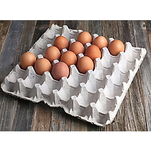 MT Products Egg Crates, Egg Flat Cartons Bulk Holds 30 Eggs - Pulp Fiber Egg Crate for Chicken Farm - Great Home for Roach Colony - Made in the USA - 15 Flats