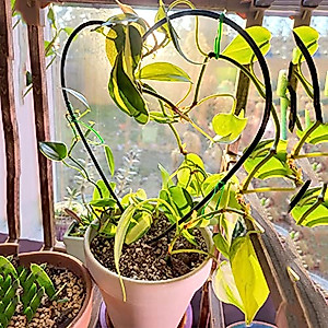 Levery 2 Pack Garden Trellis for Climbing Plants, 13 inches Rust-Proof Iron Metal Plant Support with Black Rust Proof Coating for Decorative Potted Climbing Vines and Flowers (Heart)