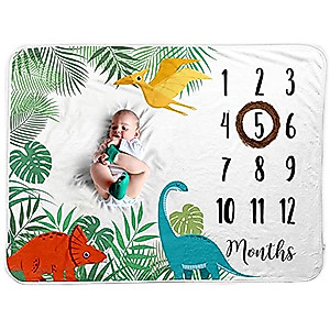 Baby Monthly Milestone Blanket | Includes Frame for The Numbers and Bonus Product | 1 to 12 Months | Premium Extra Soft Fleece | Best Photography Backdrop Prop for Newborn Boy & Girl