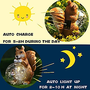 MRGL Squirrel Garden Figurines Decor, Outdoor Waterproof Statue, 7.5 Inch LED Lights for Garden, Courtyard, Lawn, Walkway, Housewarming