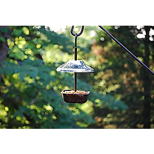 Mealworms Bird Feeder | 5 x 5 inch Powder Coated Mesh Bowl with Adjustable Stainless Steel Roof