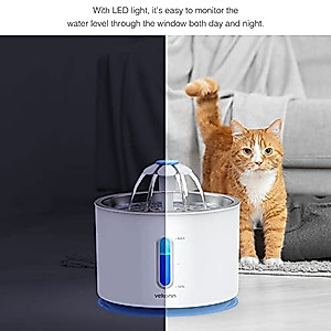 Vekonn Cat Water Fountain Stainless Steel Top, Pet Water Fountain for Small Dog and Cat with LED Light and Water Level Window (Blue)
