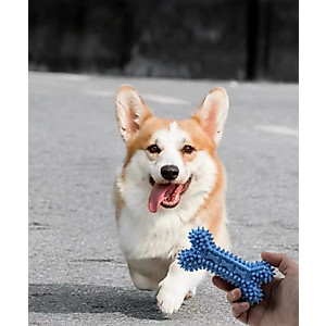 AGIEG Puppy Teething Chew Toys Pet Dog Chew Rope Toothbrush Chew Toys Small Medium Dog (6 Pack Dark Green)