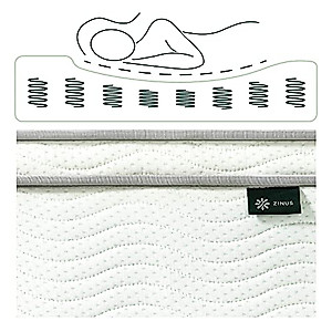 Zinus 12 Inch Foam and SpringMattress / CertiPUR-US Certified Foams /Mattress-in-a-Box, Queen