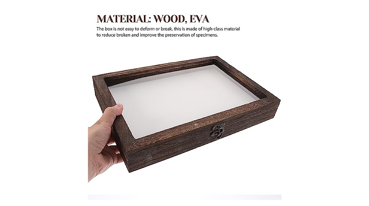 Cabilock Insect Display Case - Showcase Your Collection