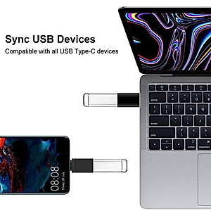 10Piece Type C Adapter Kit, Compatible with Micro-USB/Type-C/USB/1 -p Hone Cable,Foam Insert Travel Case with Carabiner, Includes USB Type C Cable