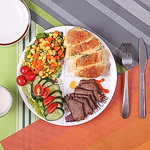 Viynran 10-Inch Ceramic Portion Control Plates for Weight Loss and Diabetes, Set of 2 Reusable Dishes, Microwave Safe