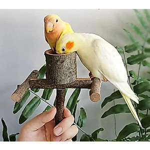 XLpeixin Bird Playground Parrot Playstand Birds Play Stand Wood Exercise Perch Gym Stand Hanging Swing Toys for Small Medium Parakeets Canaries Cockatiels Lovebirds and More…