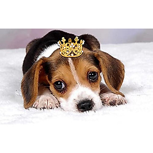 SisBroo Gold Crown Cake Topper, 6 Pieces Happy Birthday Cake Toppers, Princess Crown Cake Decorations for Birthday, Wedding, Party and Baby Shower, Birthday Crown Tiara for Kids and Pets (Gold-Ⅰ, 6)