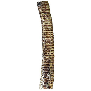 Jones Natural Chews, 12" Beef Trachea, Pack of 1