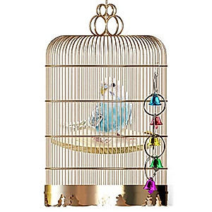2 Pieces Bird Perches Bird Platform Perch with Pet Toys Bird Cage Accessories Parrot Perch Bird Rest Platform and Training Toy for Parakeet Gerbil Cockatiel Budgie Rat Mouse Chinchilla Hamster