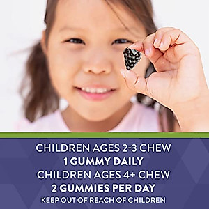 Nature’s Way Sambucus Elderberry Gummies for Kids, Immune Support Gummies*, with Vitamin C and Zinc, Delicious Berry Flavor, 60 Gummies