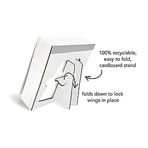 2023 This Day in Science Boxed Calendar: 365 Groundbreaking Discoveries, Inspiring People, and Incredible Facts (Daily Calendar, Office Desk Gift for Him or Her)