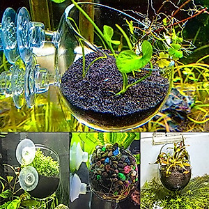 Senzeal 2X Crystal Glass Aquatic Plant Cup Pot with 4X Suction Cups for Fish Tank Aquarium Aquascape