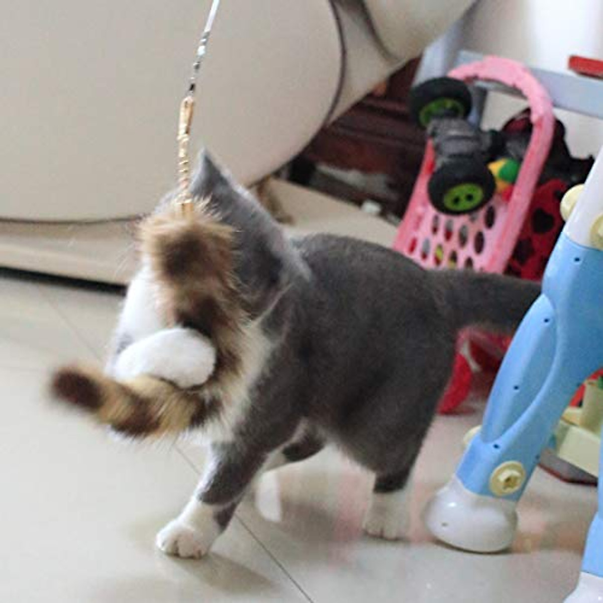 Fosrion Real Raccoon Tail Fur Cat Bites Toy with Three Section Retractable Carbon Fiber Rod (Raccoon) (Raccoon, Tail & Fishing Rod)