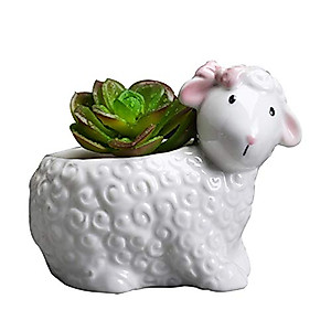 Cabilock Cactus Pot 2pcs Ceramic s Decorative Flowerpot Sheep Plants Decorative Succulent Pot Plant Flower Pot Small White Flowers Indoor Ceramic Bonsai Pots
