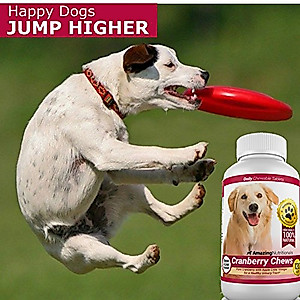 Amazing Cranberry for Dogs Pet Antioxidant, Urinary Tract Support Prevents and Eliminates UTI in Dogs, 120 Chews
